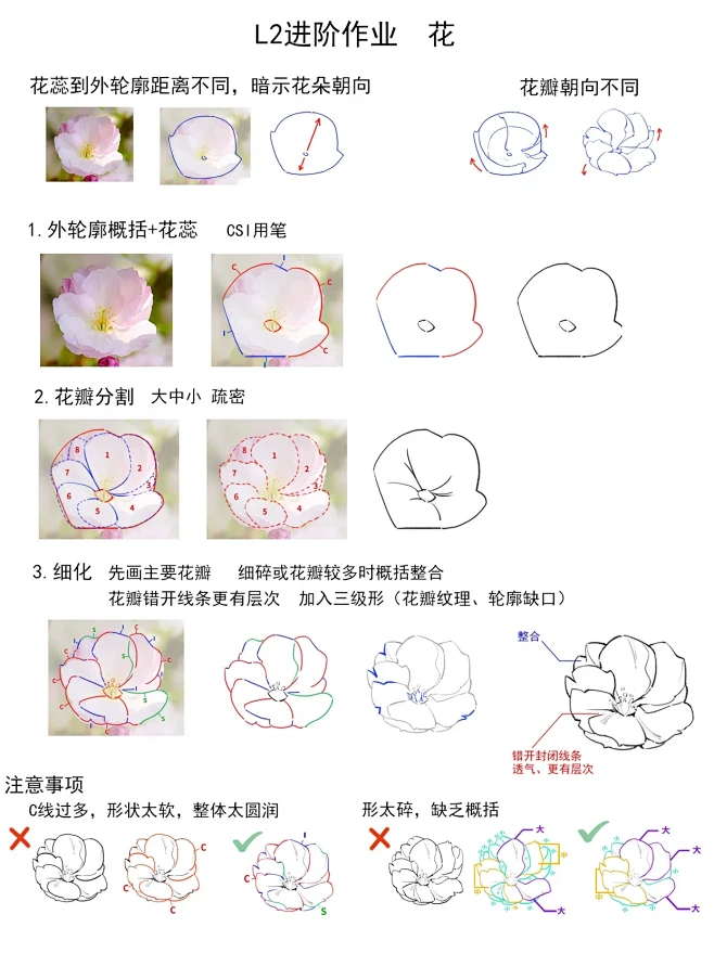 Krenz_k大动态与构成课_笔记与心得L2_8_林在绘_来自小红书网页版-花瓣网