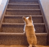 src=http%3A%2F%2Finews-花瓣网