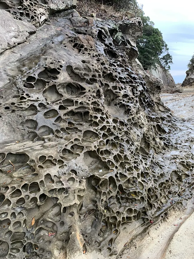 (122) Pinterest-花瓣网