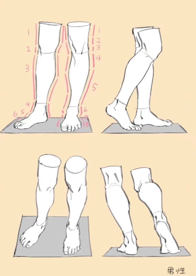 画人体应注意的事项，人体的结构参考！ twi：simodasketch