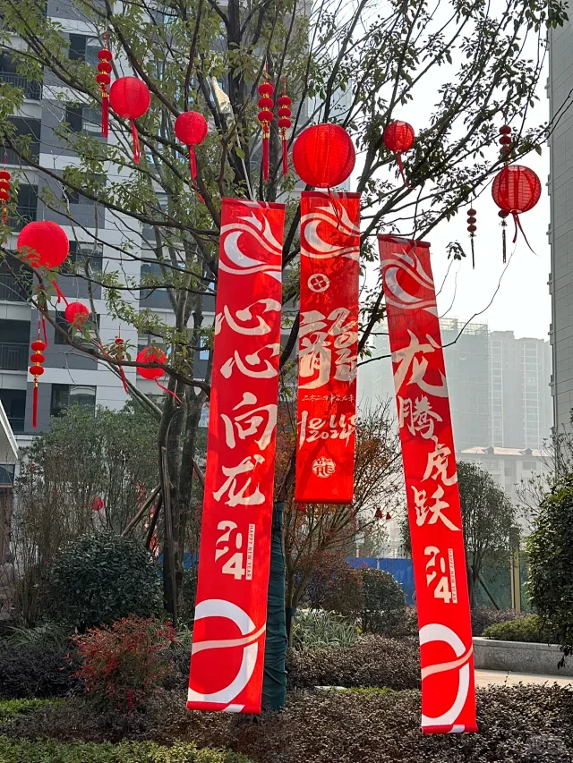 新年包装 - 小红书搜索-花瓣网