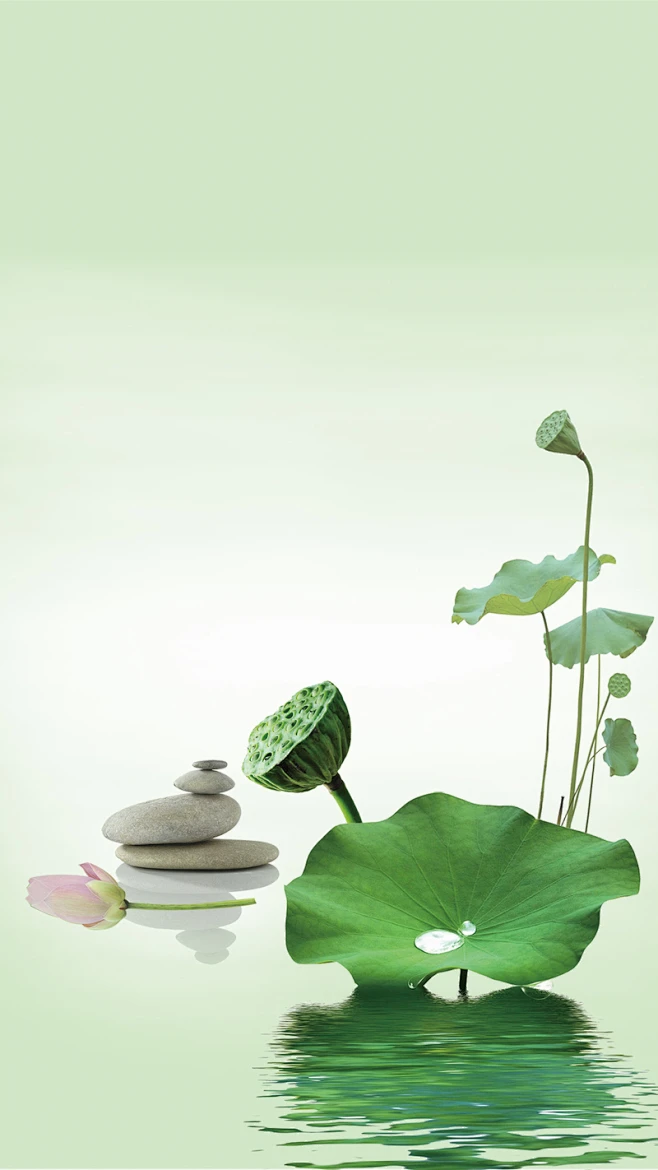 夏季清新荷花H5海报背景psd分层下载_新图网 https://ixintu.com 夏季 清新 绿色 荷花 荷叶 赏荷 石子 莲蓬 莲花 莲叶 水波纹 湖面 池塘 水面 H5 psd-花瓣网