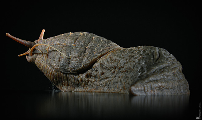 roberto-digiglio-sl7