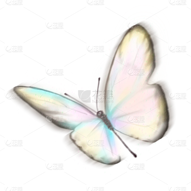 Butterfly Sticker