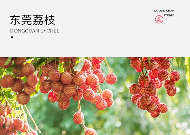 packaging design lychee packaging Fruit Packaging Design fruit branding ...