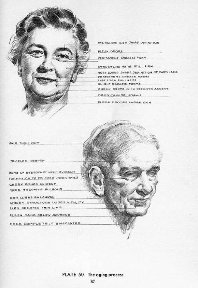 Andrew Loomis - Drawing the Head and Hands0081