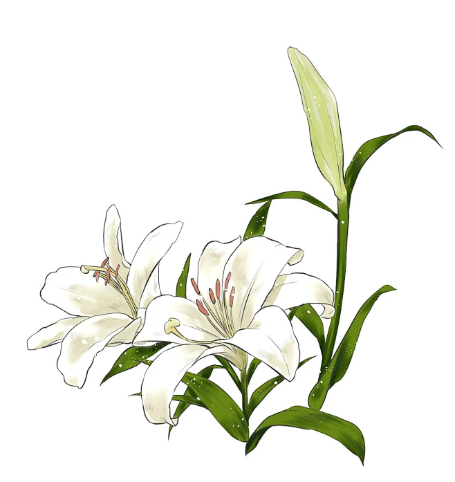 gd-hbimg (13)-花瓣网