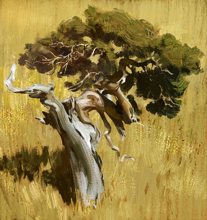 Tree study-花瓣网