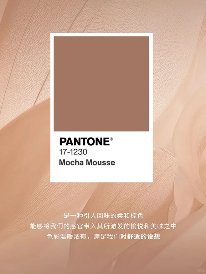 行业资讯|PANTONE 2025年度代表色 摩卡慕斯 - 小红书-花瓣网