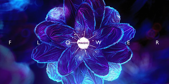 MAGIC | flower : MAGIC| flower-花瓣网