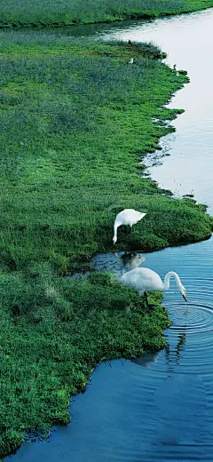 Moonwalk By Victor Caroli-花瓣网
