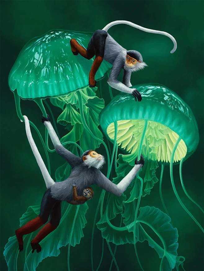 动植物：Joy Ching的画作-古田路9号-品牌创意/版权保护平台图片_画图片素材-花瓣网