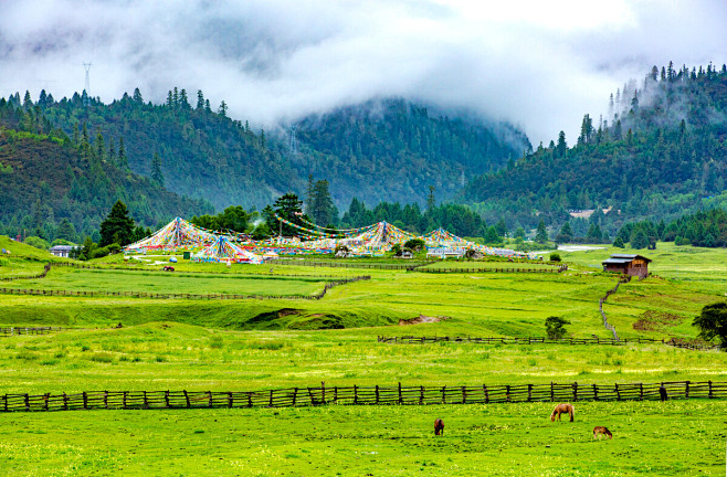 点击查看图片来源