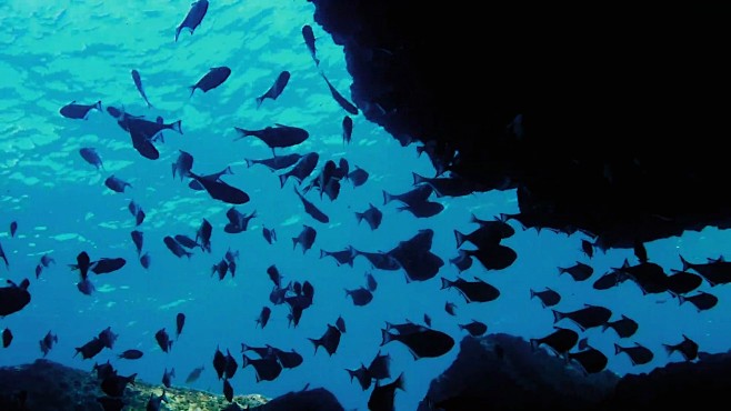 泰国水下洞穴系统-烟囱，Ko Haa