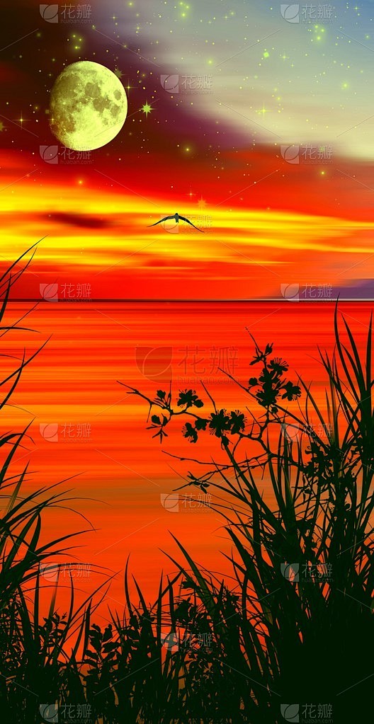 美丽的夜晚景观