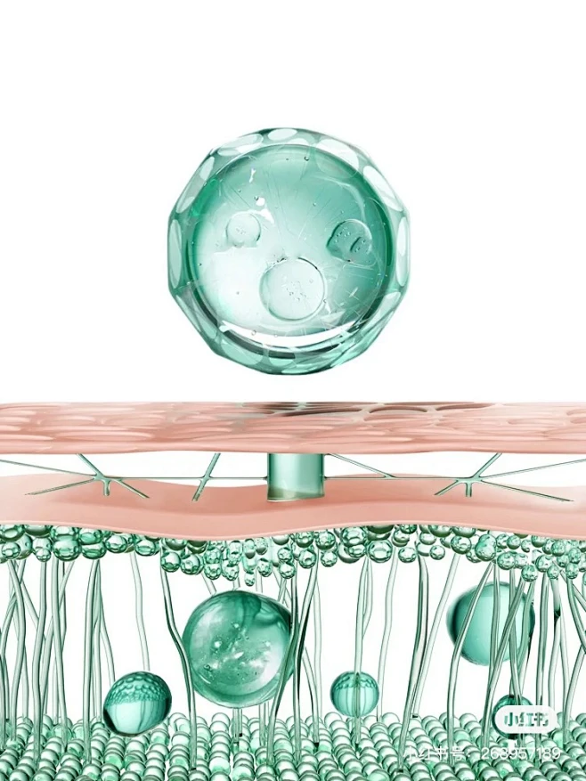 IMG_9840(20230207-010042)-花瓣网