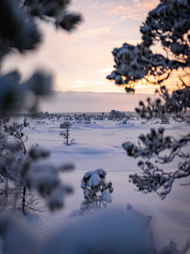 a snow covered field with trees in the distance图片_背景-摄影图片素材-花瓣网