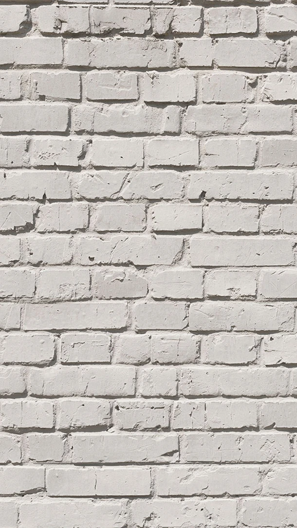 白色砖头墙体png免抠素材_新图网 https://ixintu.com 砖墙 白色 高对比 墙面-花瓣网