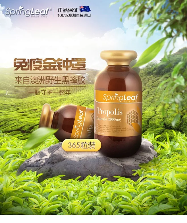 springleaf澳洲蜂胶囊2000mg澳洲黑蜂胶软胶囊propolis非巴西蜂胶-tmall.hk天猫国际-花瓣网