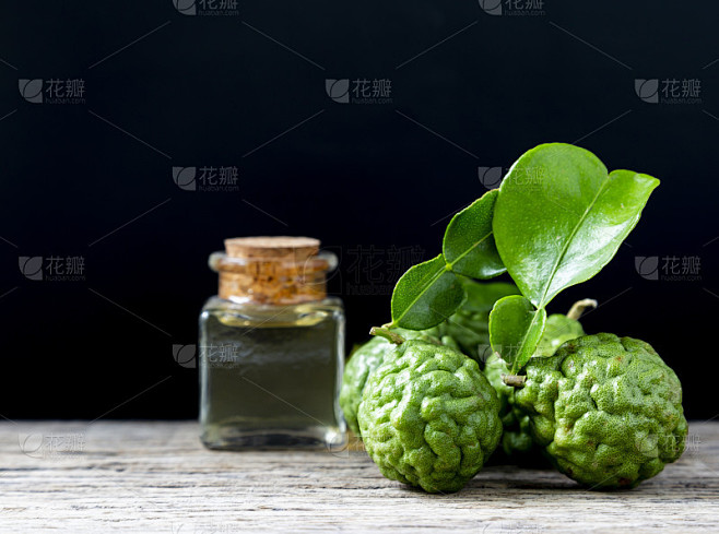 Bergamot, herb that