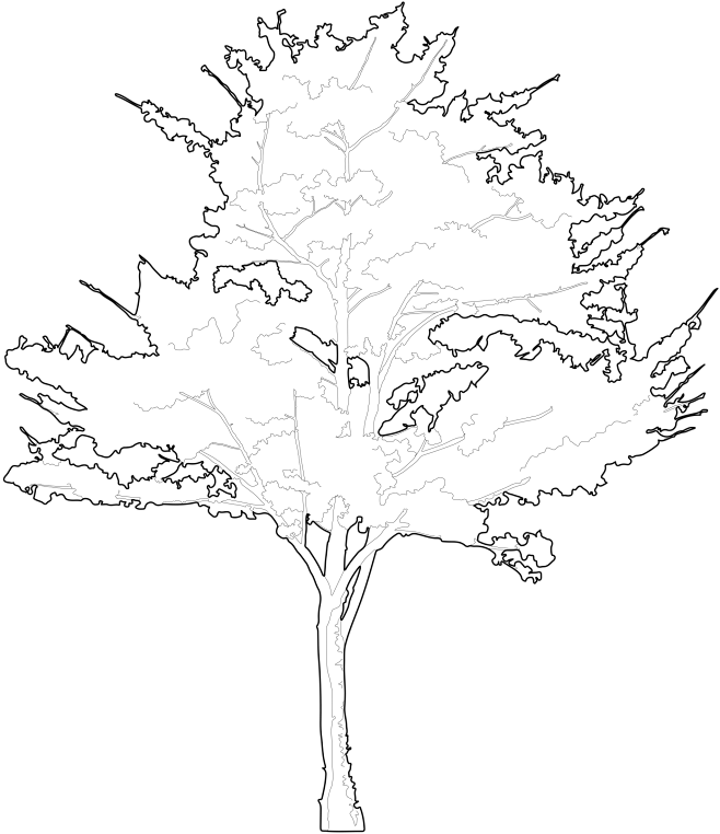 Apricot tree cad blocks - 99 - pimpmydrawing