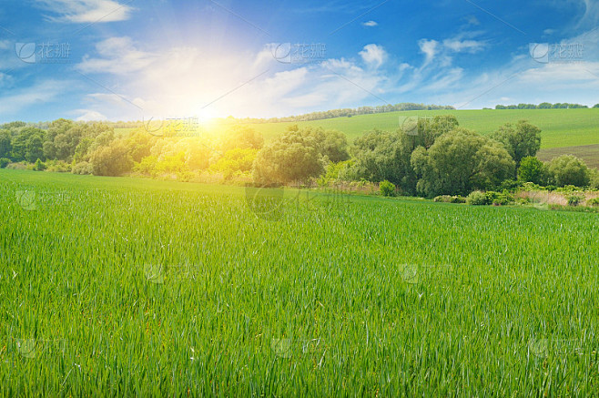 田野、日出和蓝天