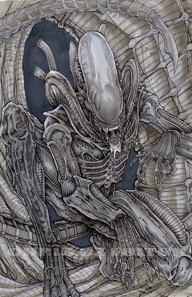 Xenomorph alien color by ChrisOzFulton-花瓣网