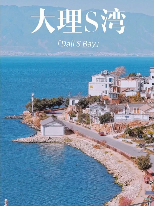 大理s弯 - 小红书搜索