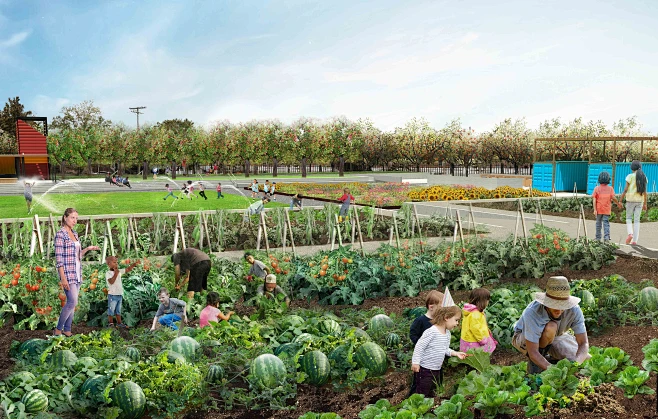 Learning Farm – Grain Collective-花瓣网