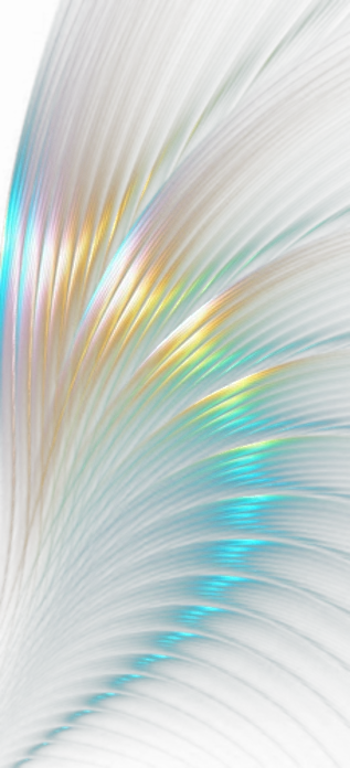 (24) Pinterest-花瓣网