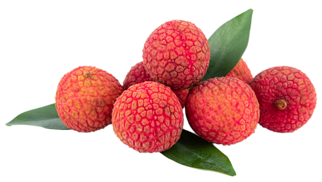 千库网_红色荔枝_元素编号13114340-花瓣网