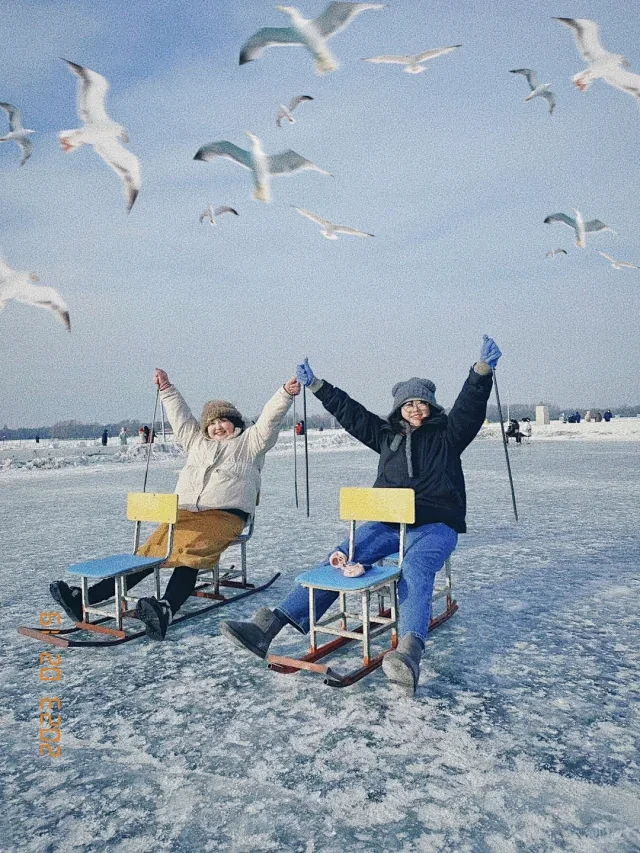 松花江冰上项目 - 小红书搜索-花瓣网
