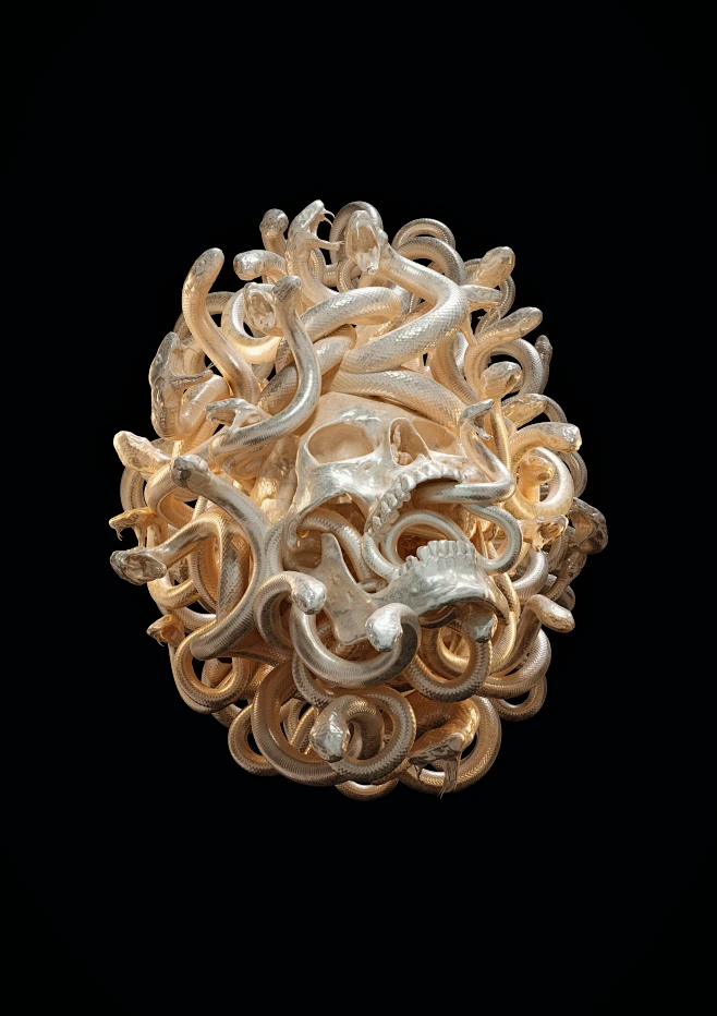 3D billelis Form gold Marble sculpture skull snake White Zbrush-花瓣网