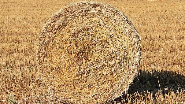 秸秆的作用, 收获, 秸秆, 农业, 圆包, 字段, 残株, 谷物, 夏季-花瓣网