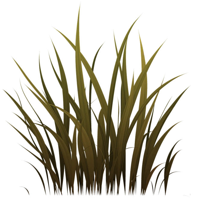 T_Grass_Dry_01_BC-花瓣网