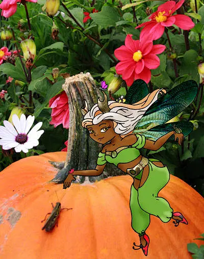 Fae Insect-花瓣网