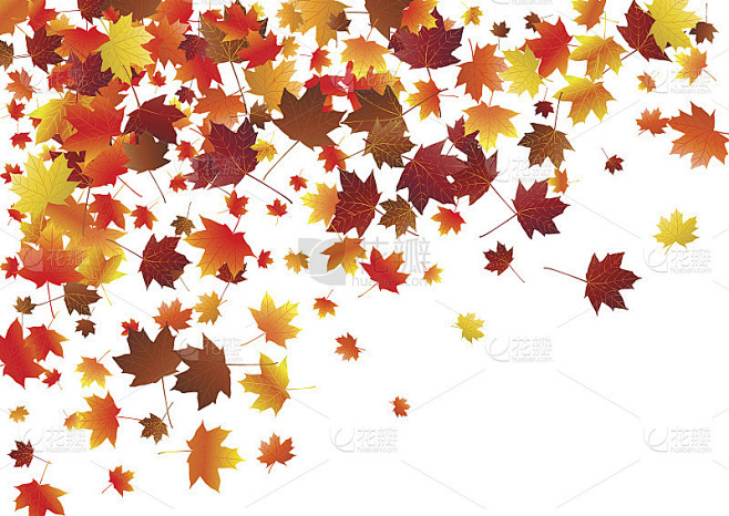 抽象背景与飞翔的枫叶。