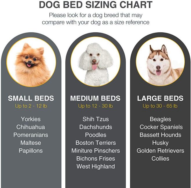Amazon.com : Keet Fluffly Deluxe Pet Bed Sofa Chocolate Medium : Pet ...