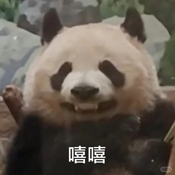 熊猫表情包 - 小红书搜索-花瓣网