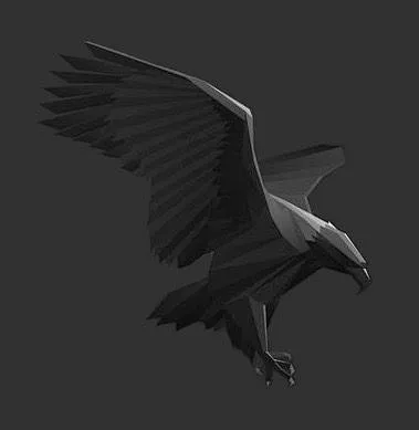 Eagle - Ilya Andreev-花瓣网