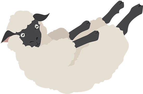 Sheep Yoga Pose-花瓣网