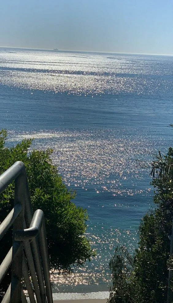 (39) Pinterest-花瓣网