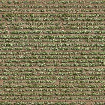 Textures.com : Farmland-花瓣网