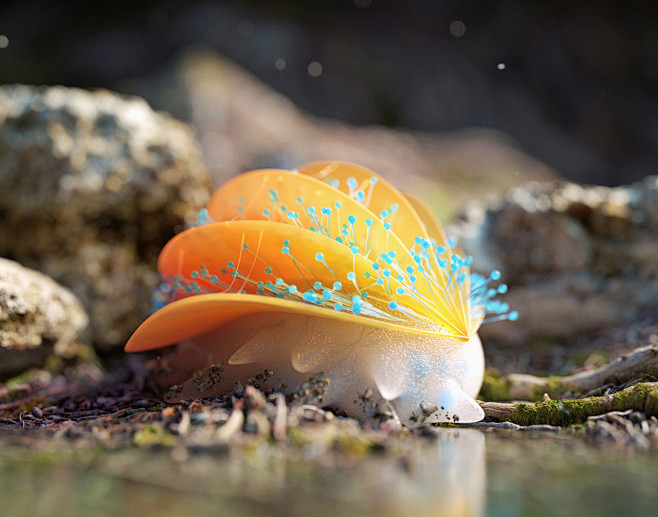 C4D Daily Render ser...simom采集到植物593图_花瓣-花瓣网