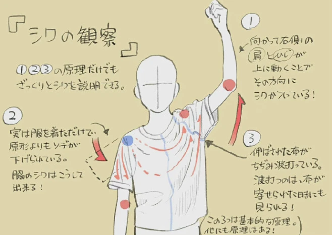 下田スケッチ 褶皱 twi：simodasketch -花瓣网