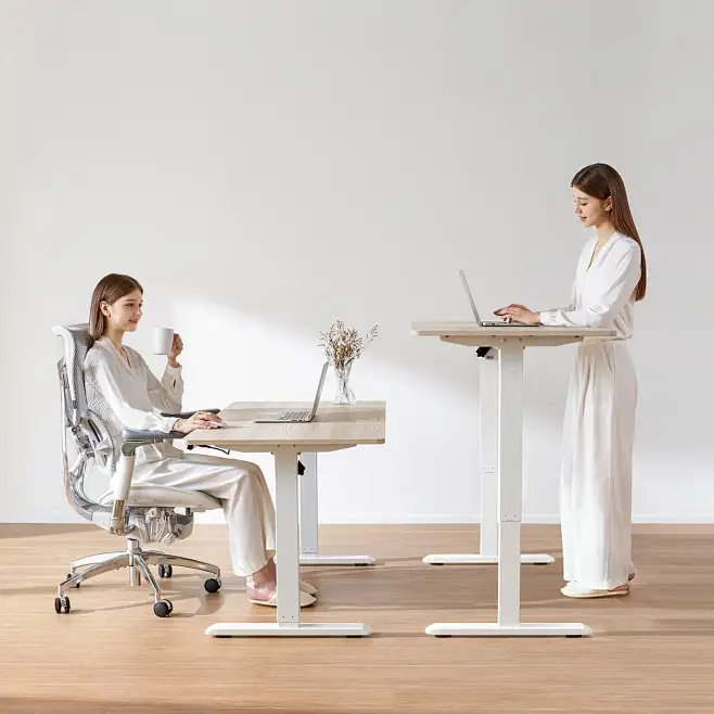 Ergonomic Duo (Sihoo Doro S300 + Sihoo D03) - Official US Sihoo Store-花瓣网