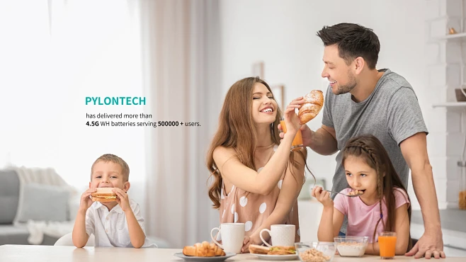 Pylon Technologies Co., Ltd.-花瓣网