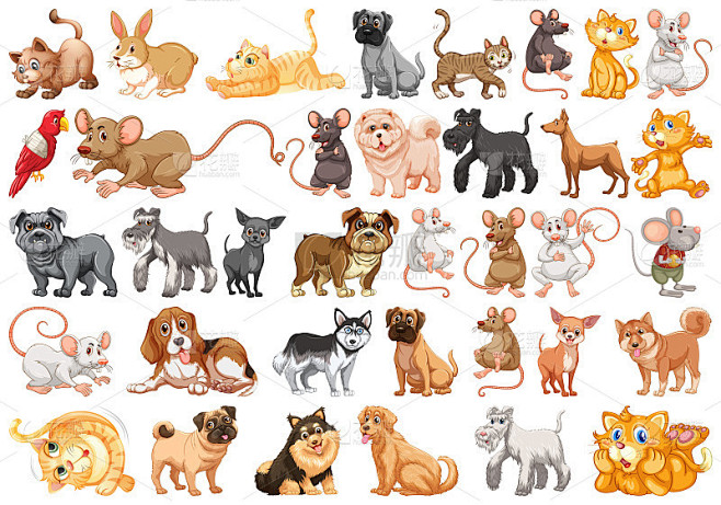 Set of pet character