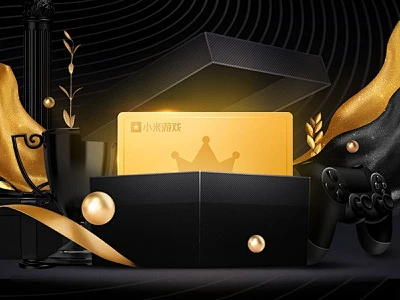 Xiaomi game VIP-花瓣网