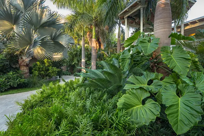 Tropical Garden Design : Outfit your outdoor spaces with a touch of the ...